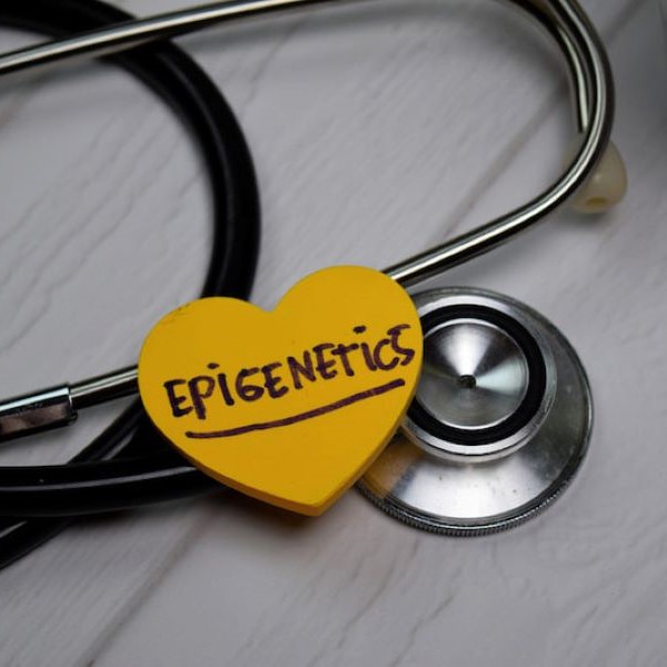 Epigenetics คือยีนเหนือ DNA สู่การเปลี่ยนแปลงของการเกิดโรค | Knowledge ...