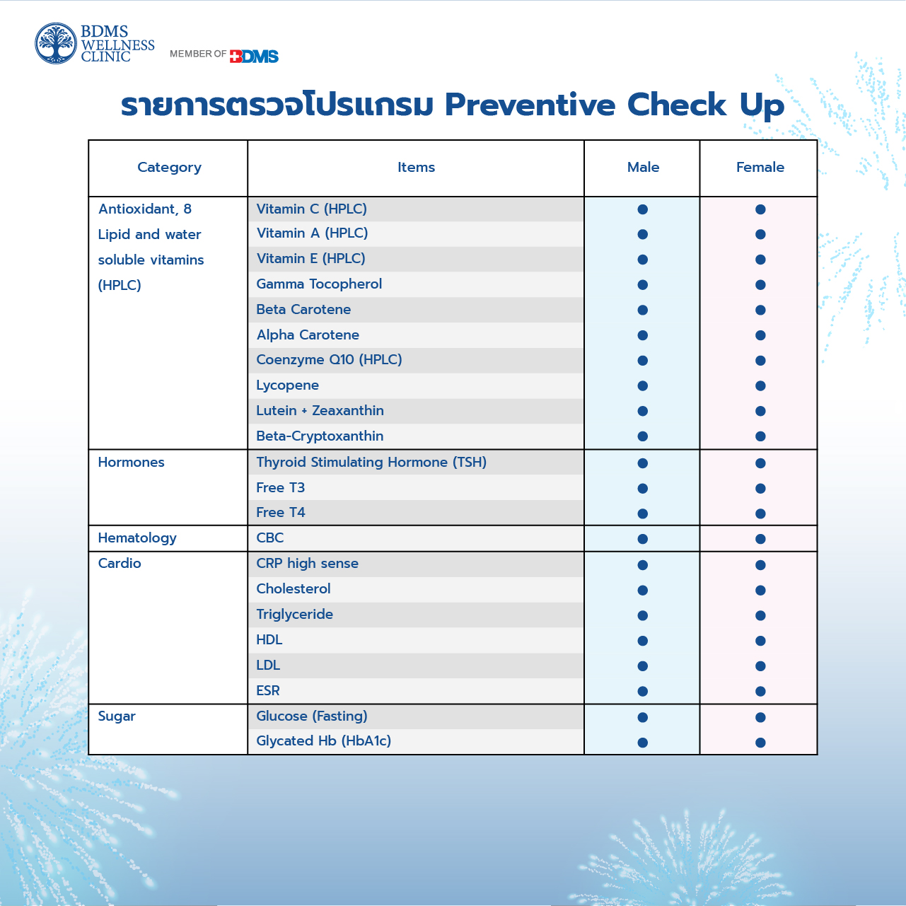 ตรวจสุขภาพเชิงป้องกัน Preventive Check Up | โปรโมชั่น | BDMS Wellness ...